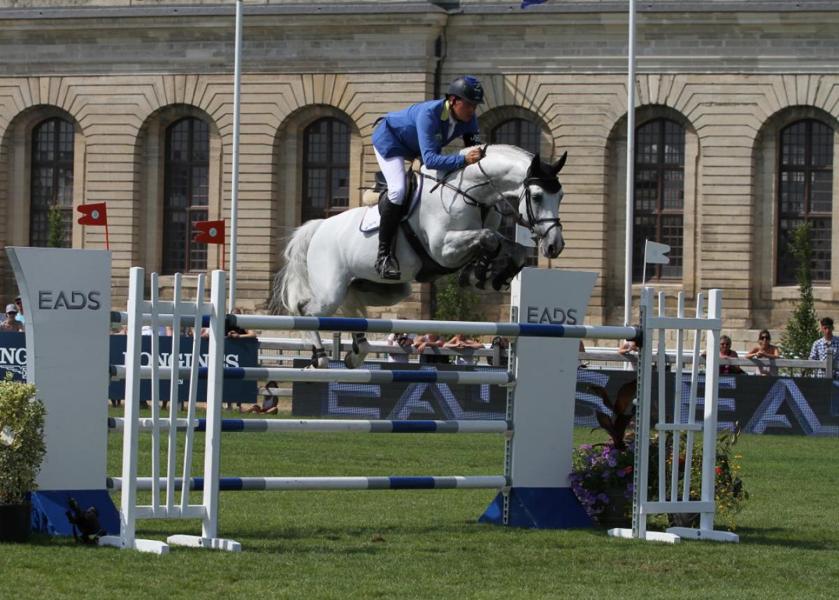 Fiche étalon Asca Z - EQUIDNA Copycat Z étalon de sport